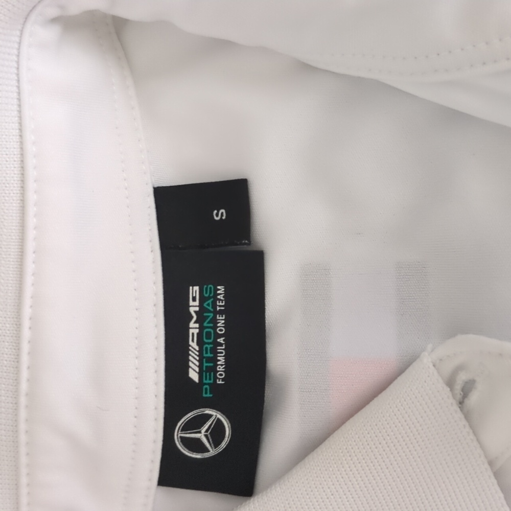 Petronas Crowdstrike Mercedes F1 Team Polo - Gem